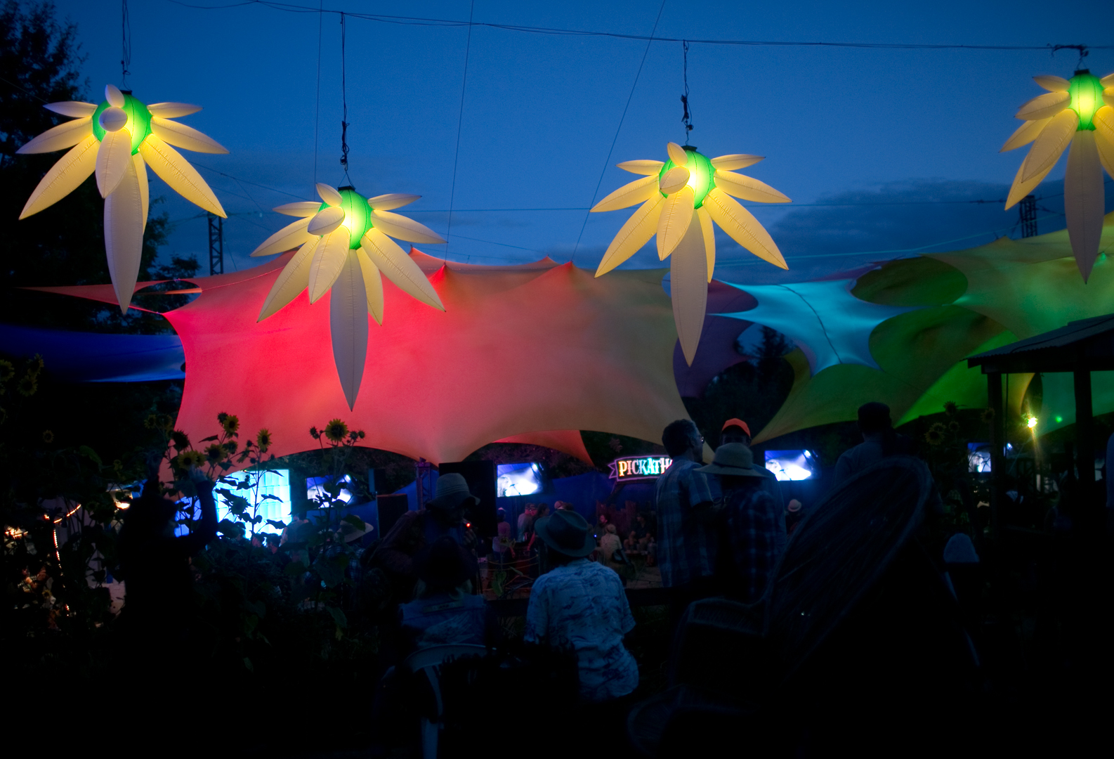 Spoken Series: Ally Harris - Pickathon