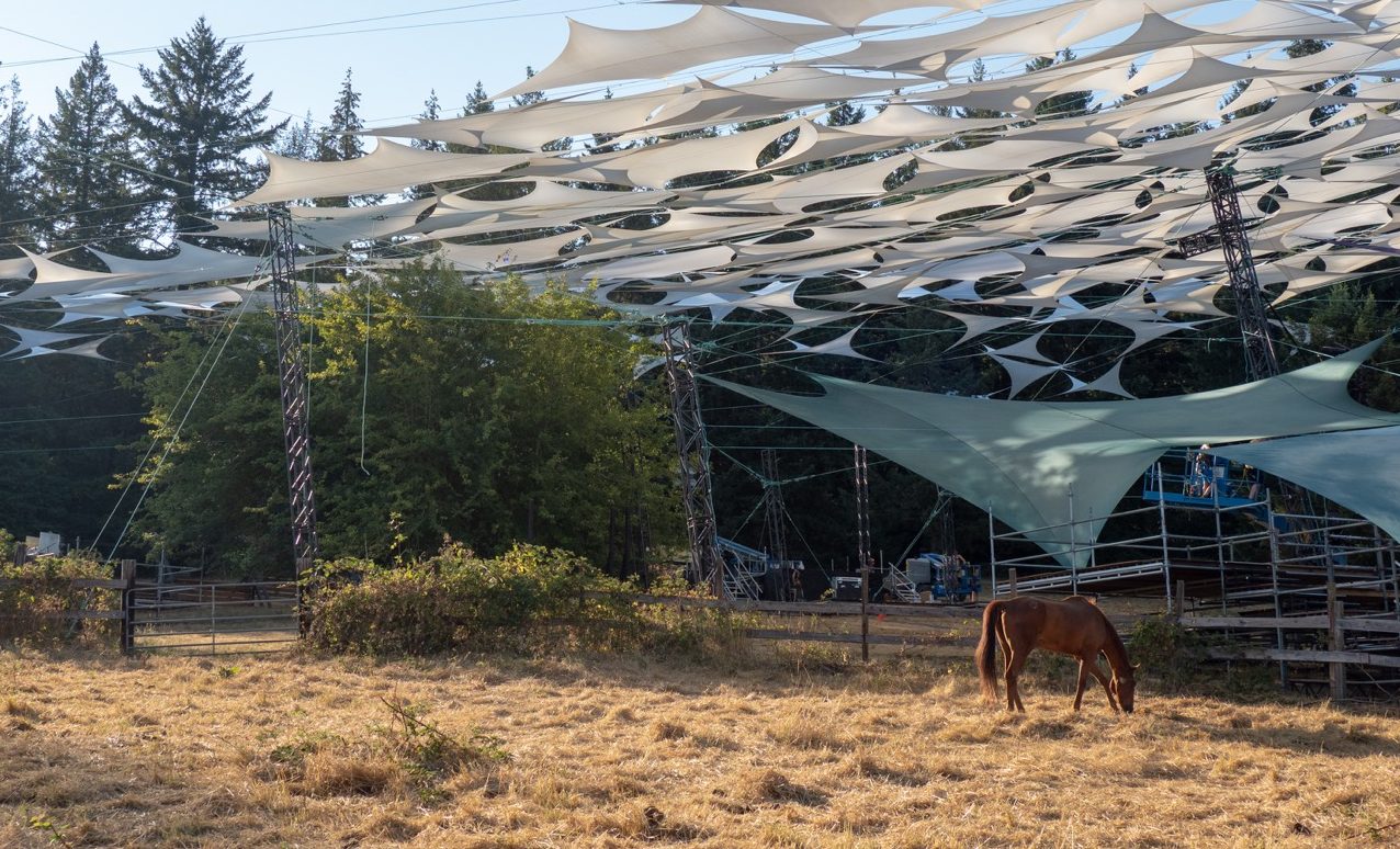 Pickathon In Four Days.