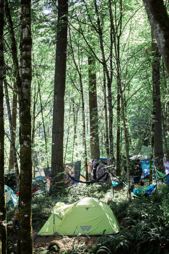 UPDATE: COVID-19 and Supporting Your Local Artist Community - Pickathon