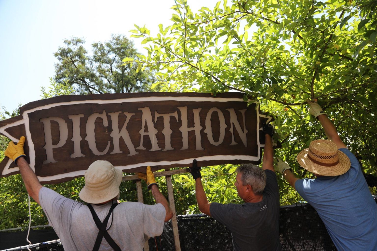 Pickathon Maps Are HERE - Pickathon