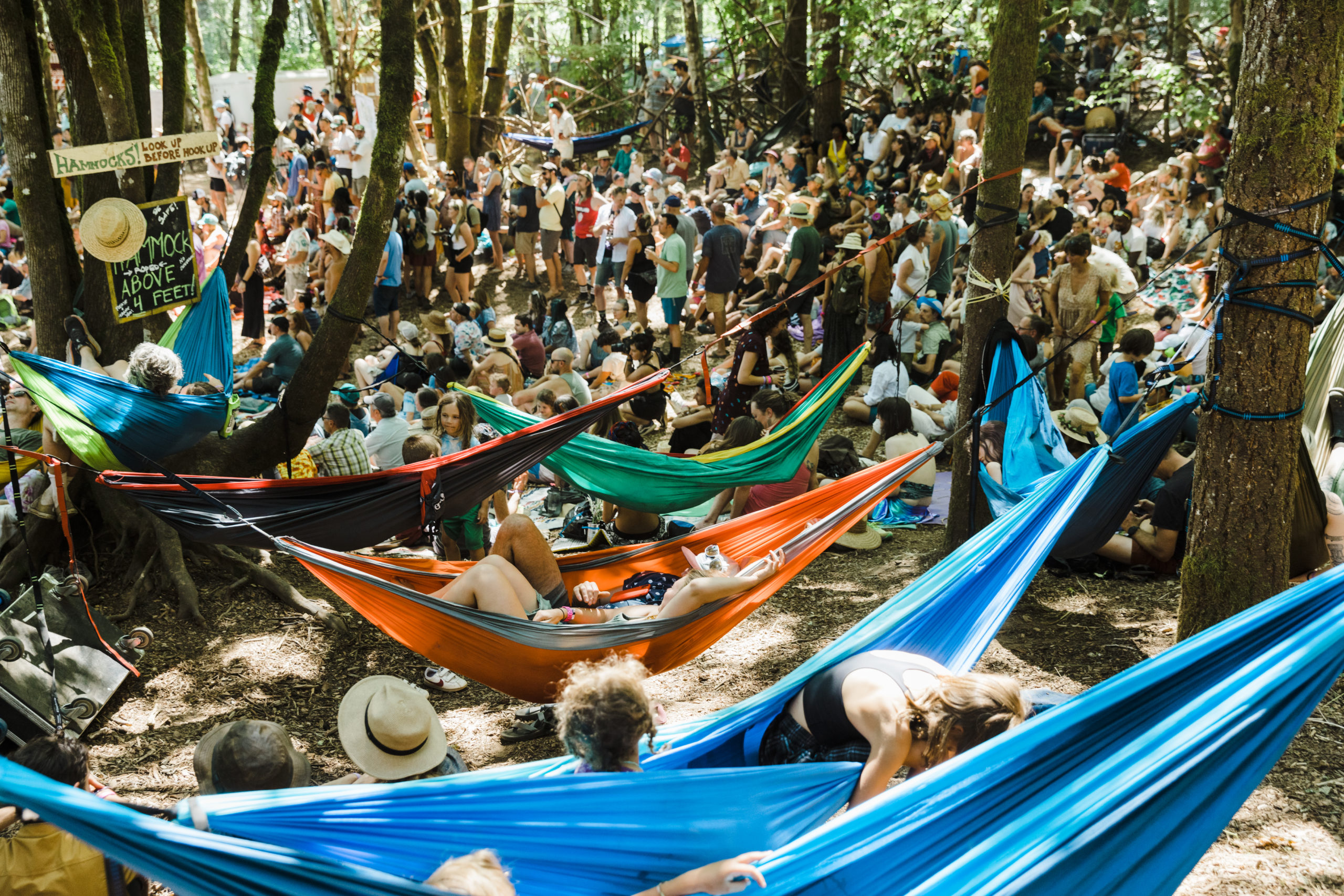 Pickathon 2023 Mascot! - Pickathon