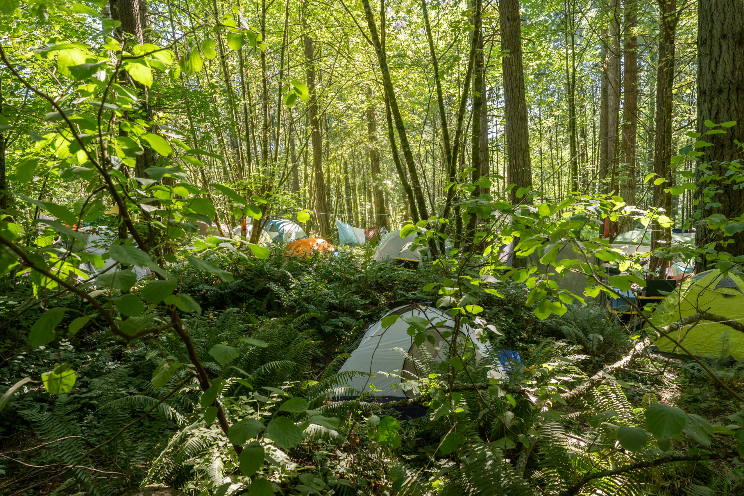 Tent Camping at Pickathon - Pickathon