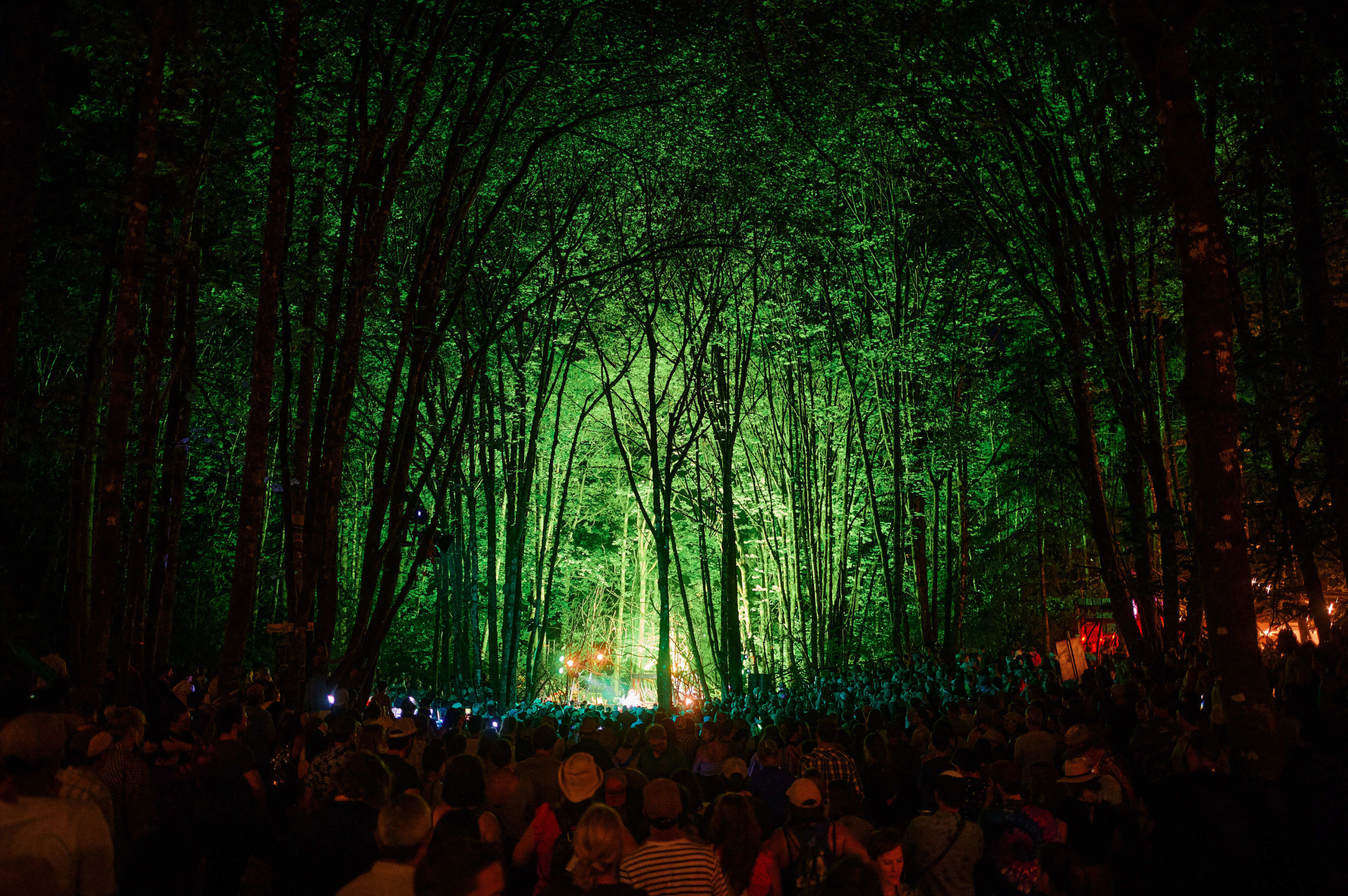 Pickathon Early Bird Tickets Selling Out, Lineup Coming Soon, Get Your ...