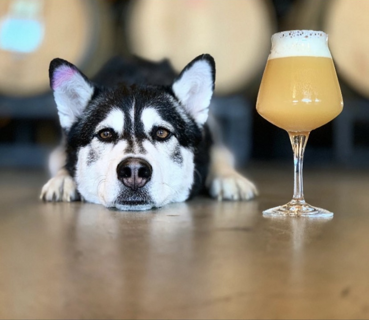 Ruse Brewing - Pickathon