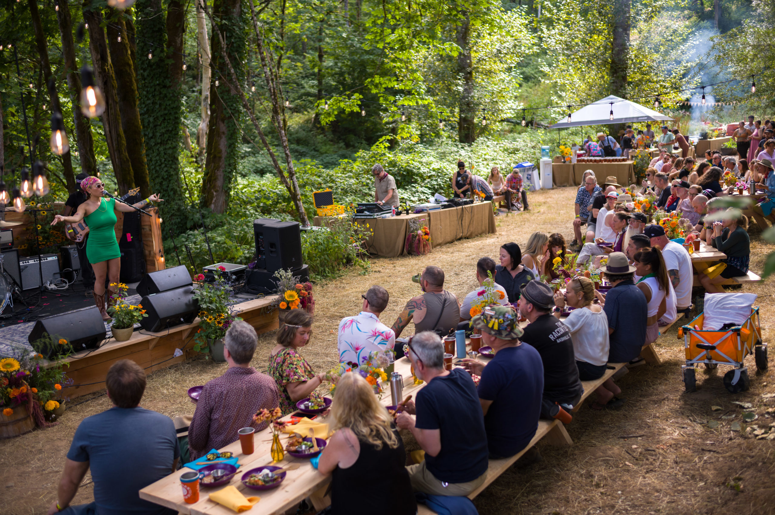 Why Pickathon? The Ultimate Music Festival Experience