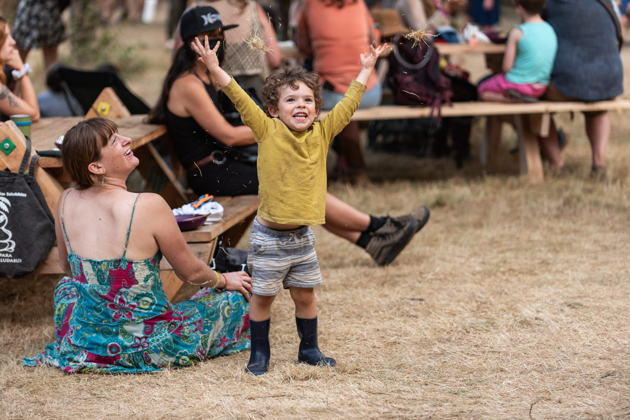 Discover the Magic: Pickathon 2024 Family Lineup - Pickathon