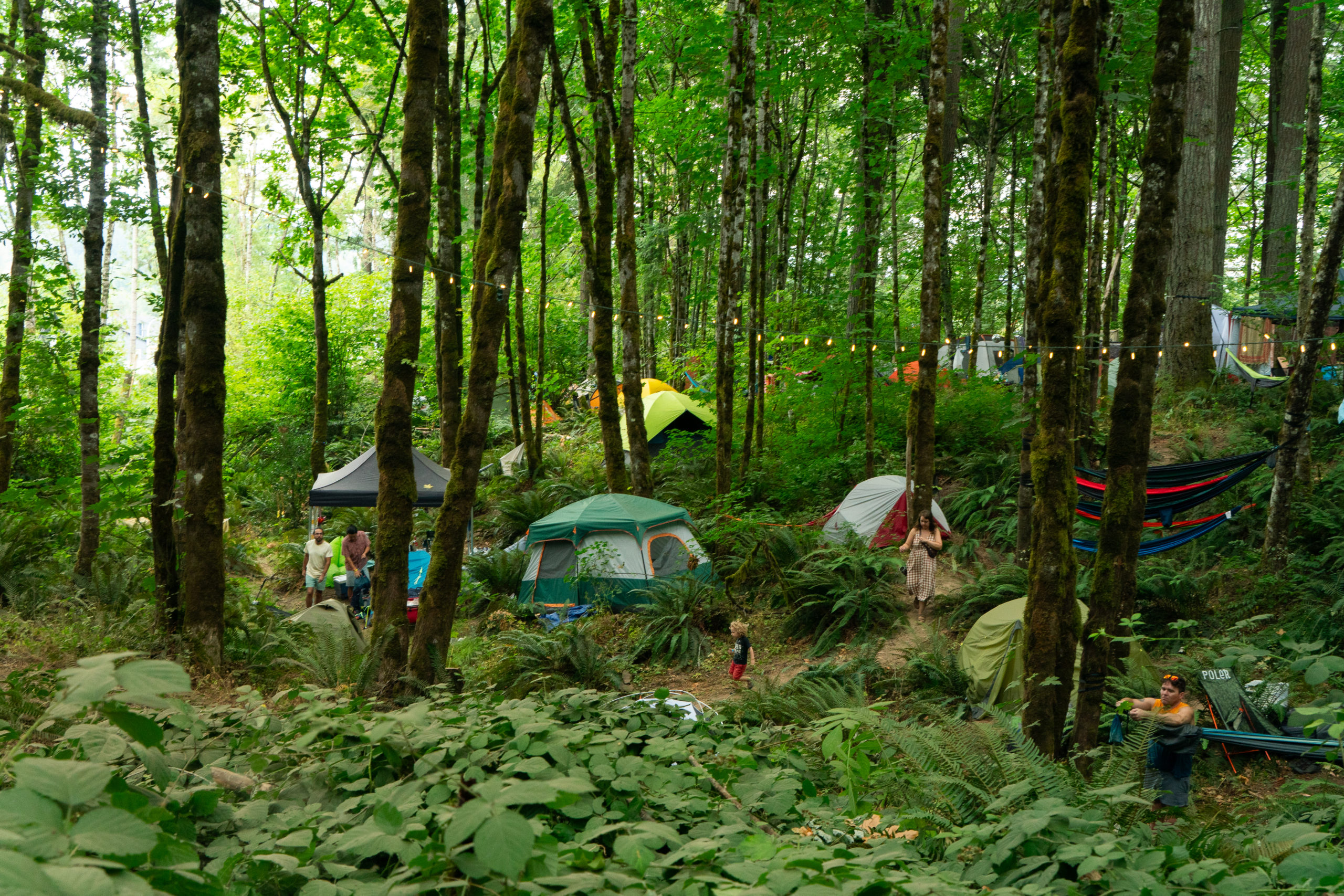 Where to Stay: Camping, Hotels & RVs | Pickathon 2026