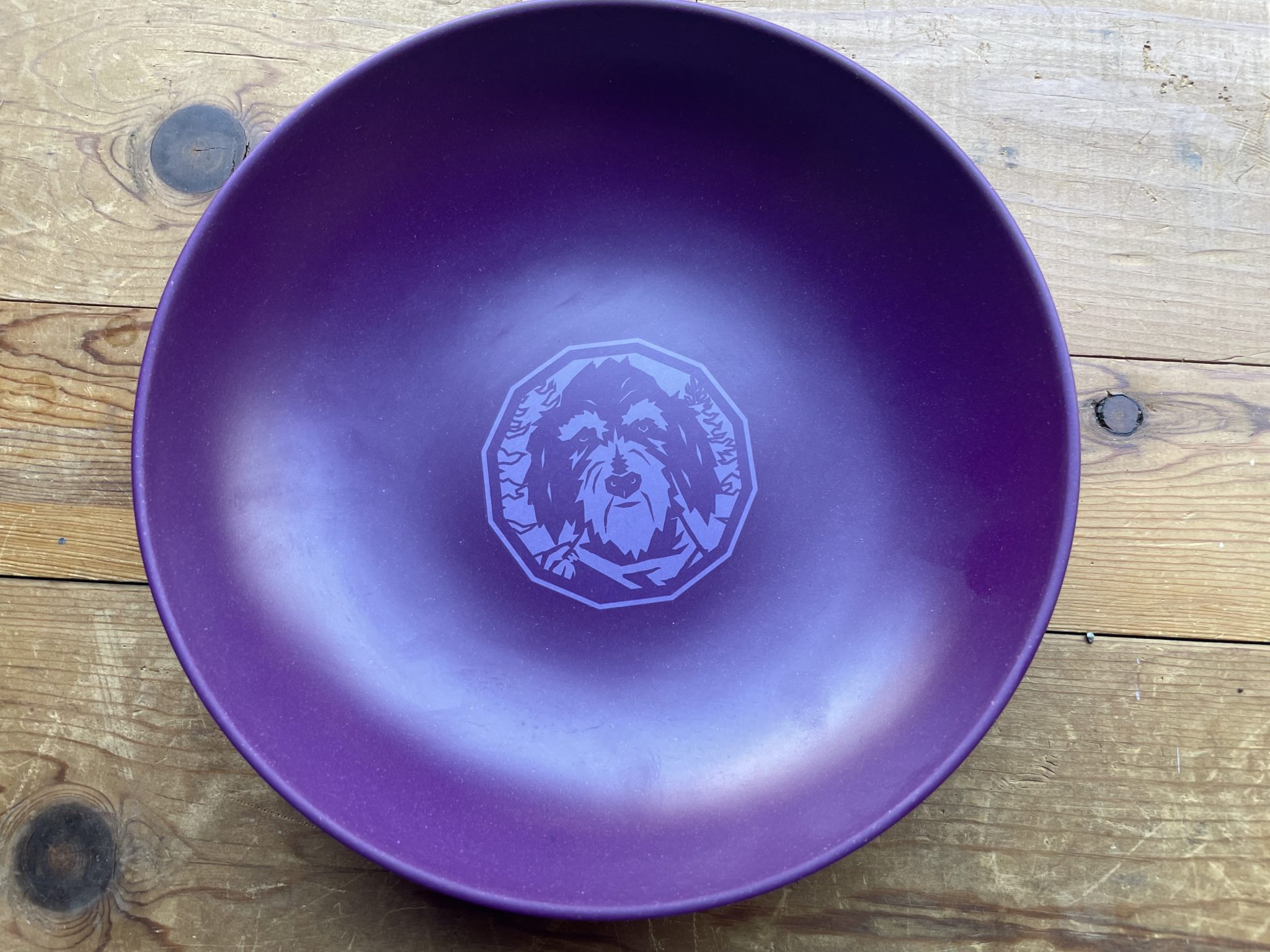 Sustainability Lineup: Your Guide to Waste Avoidance & More