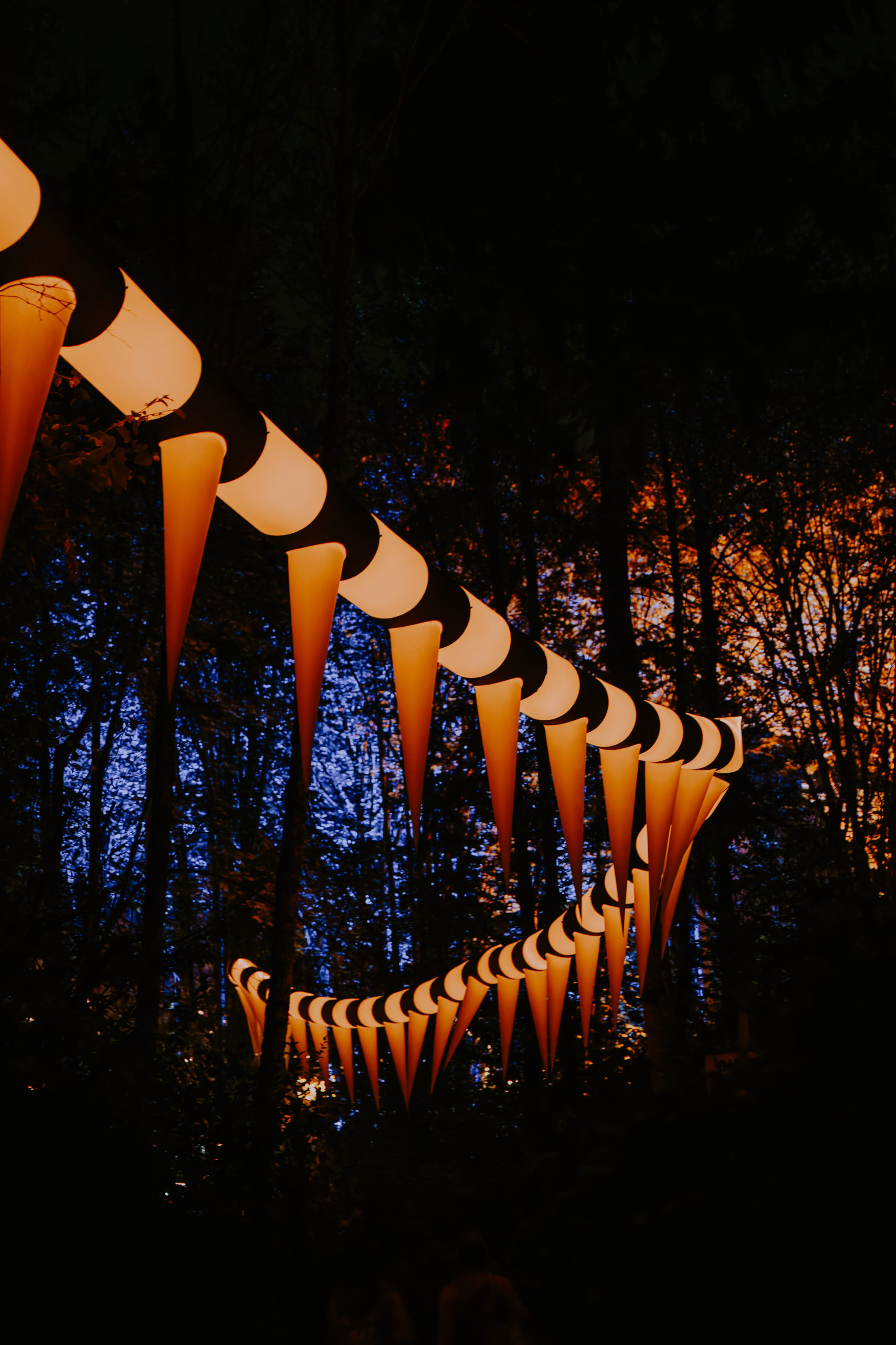 Quail Trail - Pickathon