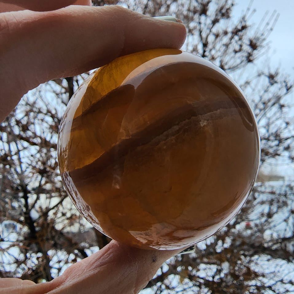 Lynx to Earth - Pickathon